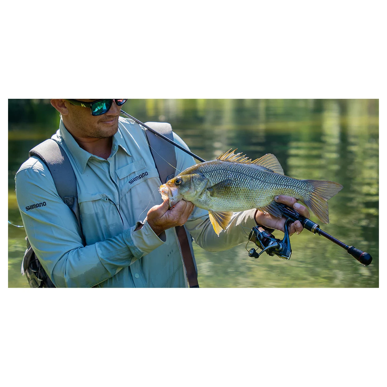 Shimano Artiesta Light Spinning Rods - Tackle World Adelaide Metro