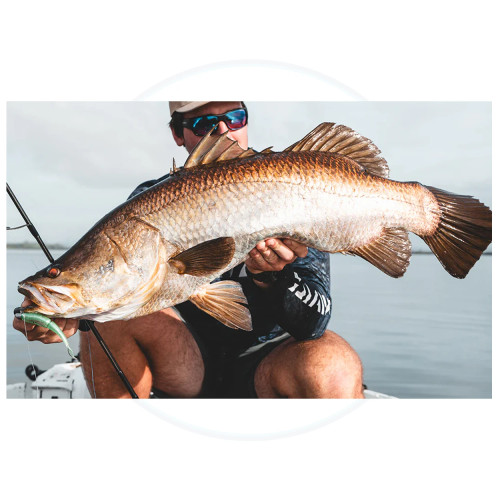 Daiwa 25 TD SOL MQ 4000D-CXH Spinning Reel - Tackle World Adelaide Metro