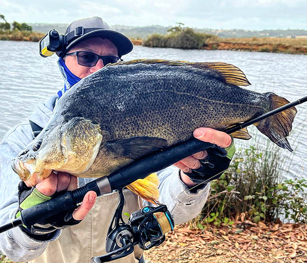 South Australian Fishing Report