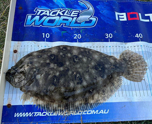 South Australian Fishing Report