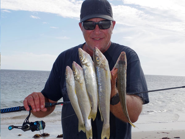 South Australian Fishing Report