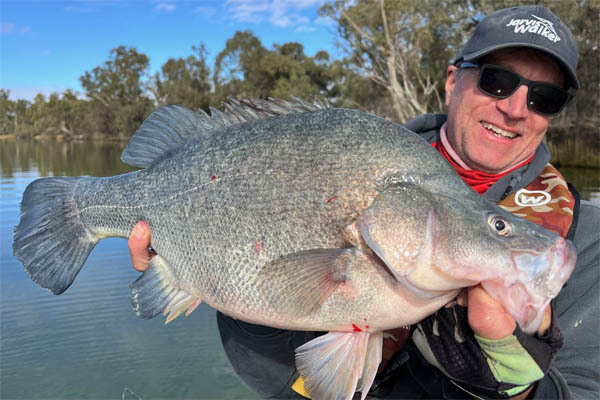 South Australian Fishing Report