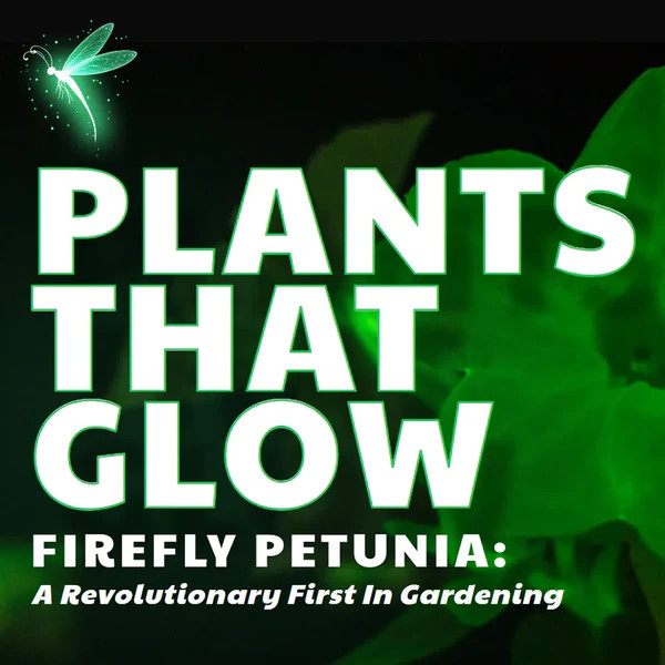 Firefly Petunia | Plant Addicts
