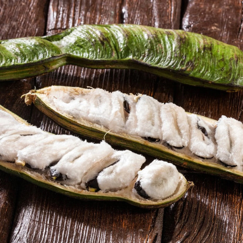 Ice Cream Bean Tree | Plant Addicts