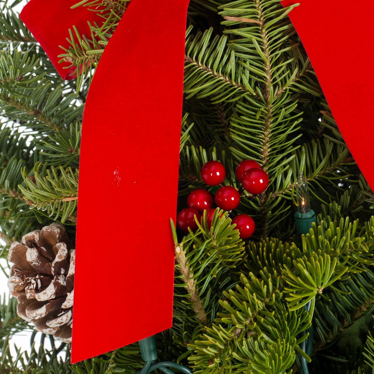 28" Fresh Pre-Lit Tabletop Christmas Tree | Plant Addicts