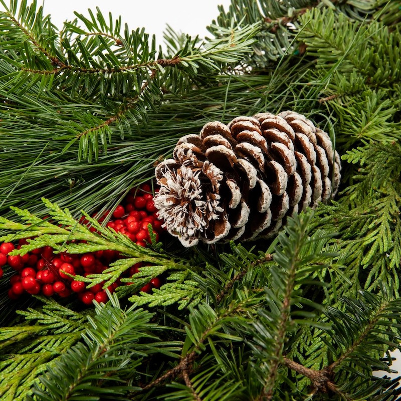 Holiday Bough Bundles | Plant Addicts