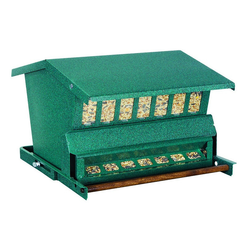 Absolute Original Squirrel Proof Feeder | Plant Addicts