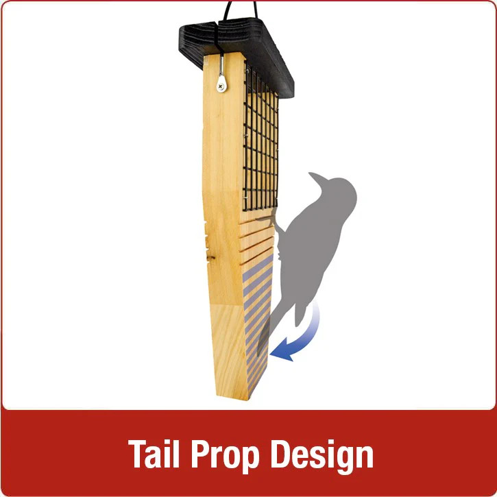 Cedar Suet Tail Prop Bird Feeder | Plant Addicts