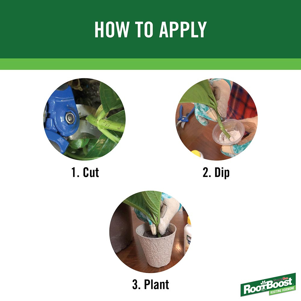 Root Boost Rooting Powder | Plant Addicts