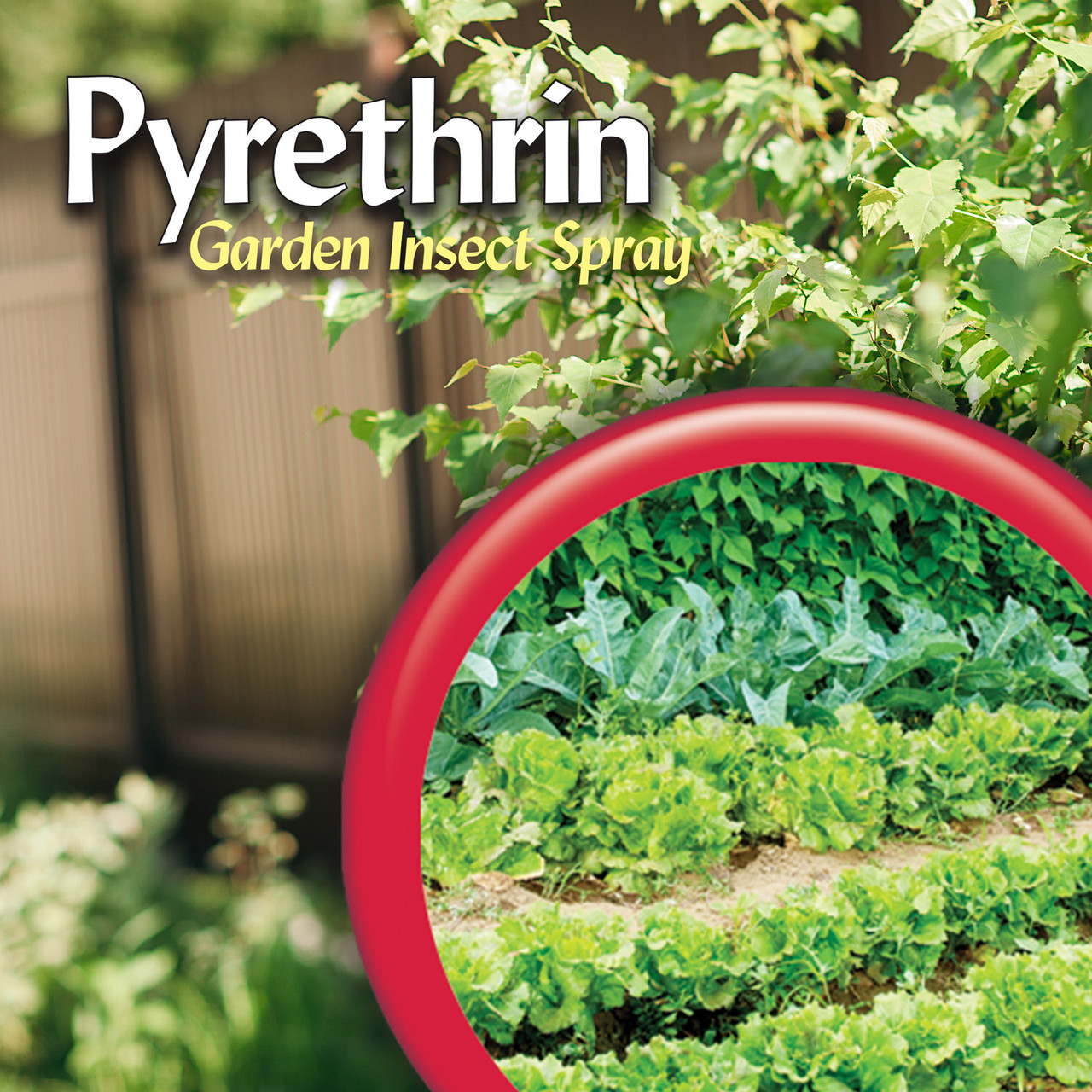 Bonide Pyrethrin Garden Insect Spray | Plant Addicts