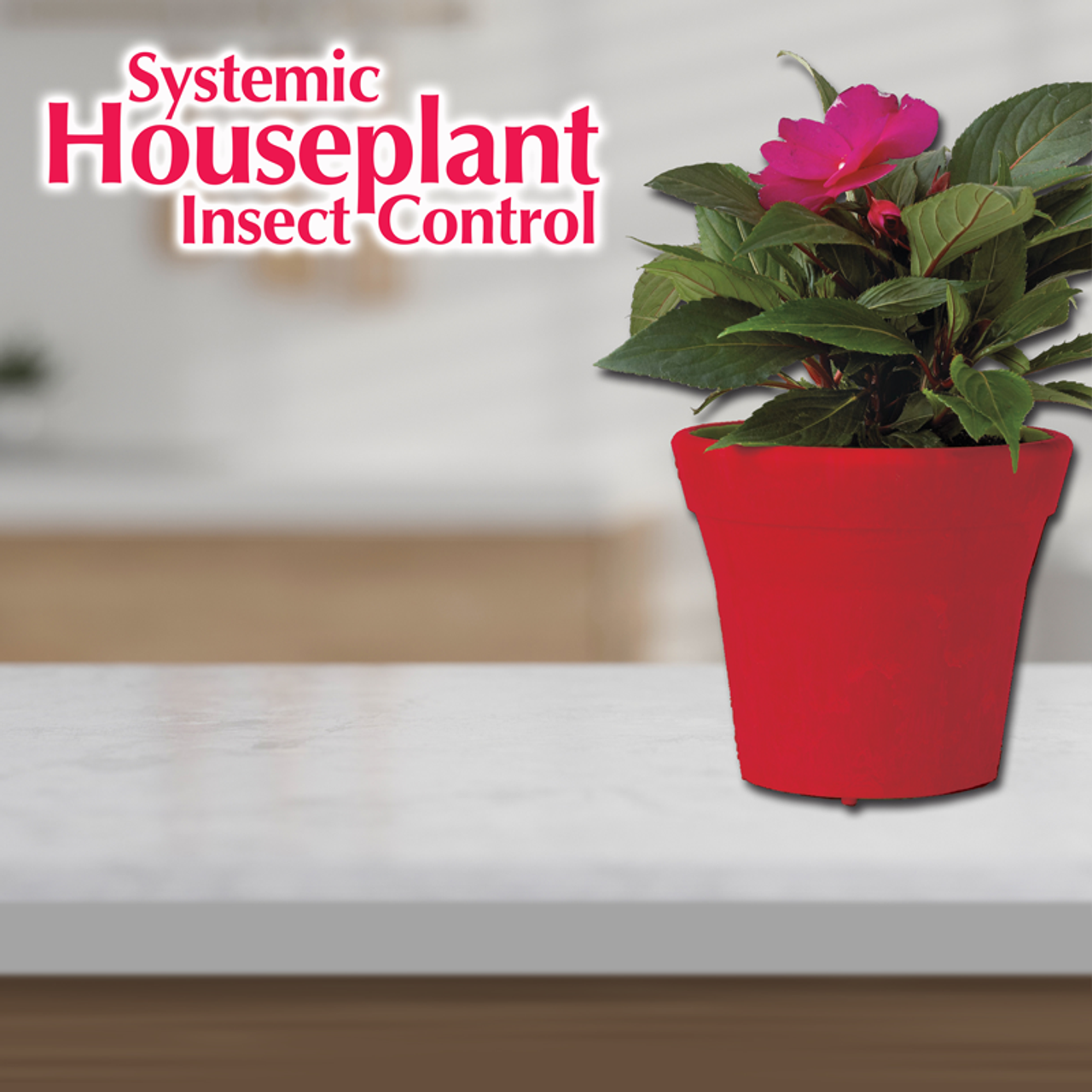 Bonide Systemic Insect Control | Plant Addicts