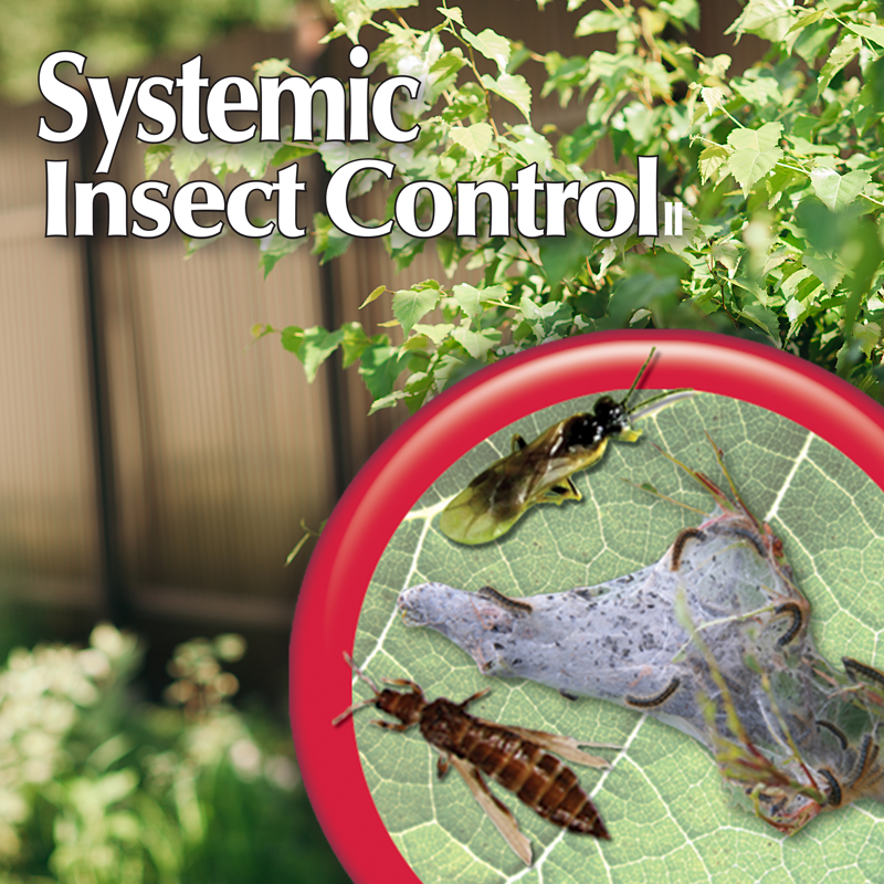 Bonide Systemic Insect Control | Plant Addicts