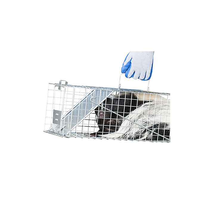 Havahart Rabbit Trap | Plant Addicts