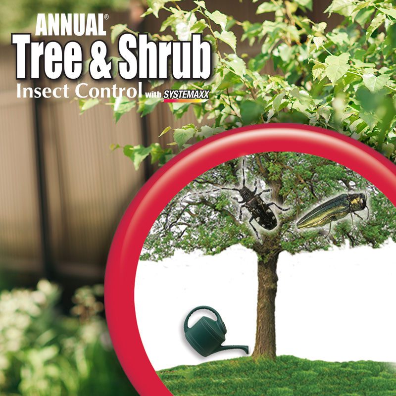 Bonide Annual Tree & Shrub Insect Control | Plant Addicts