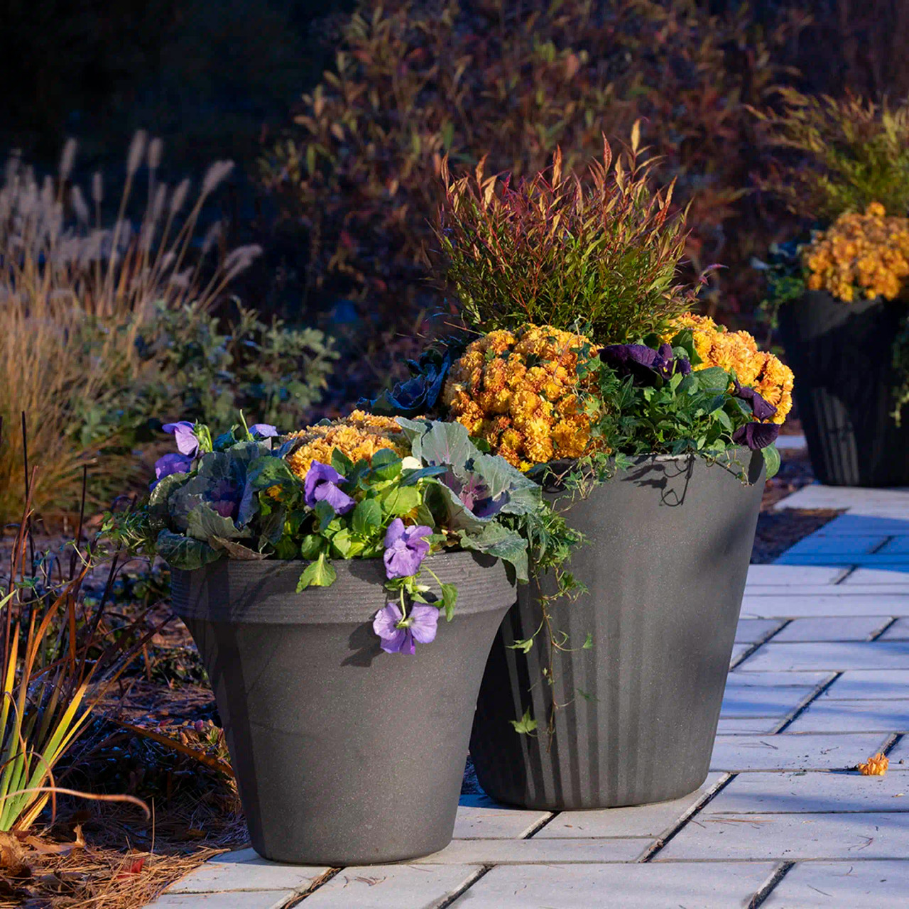 Flex Fold Planters | Plant Addicts