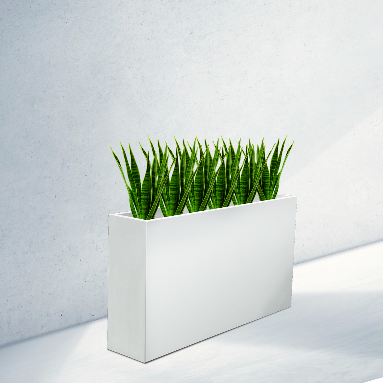 Delray Tall Rectangular Planters - Jay Scotts | Plant Addicts