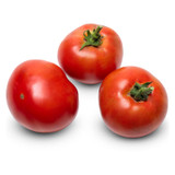 Rutgers Tomato | Plant Addicts