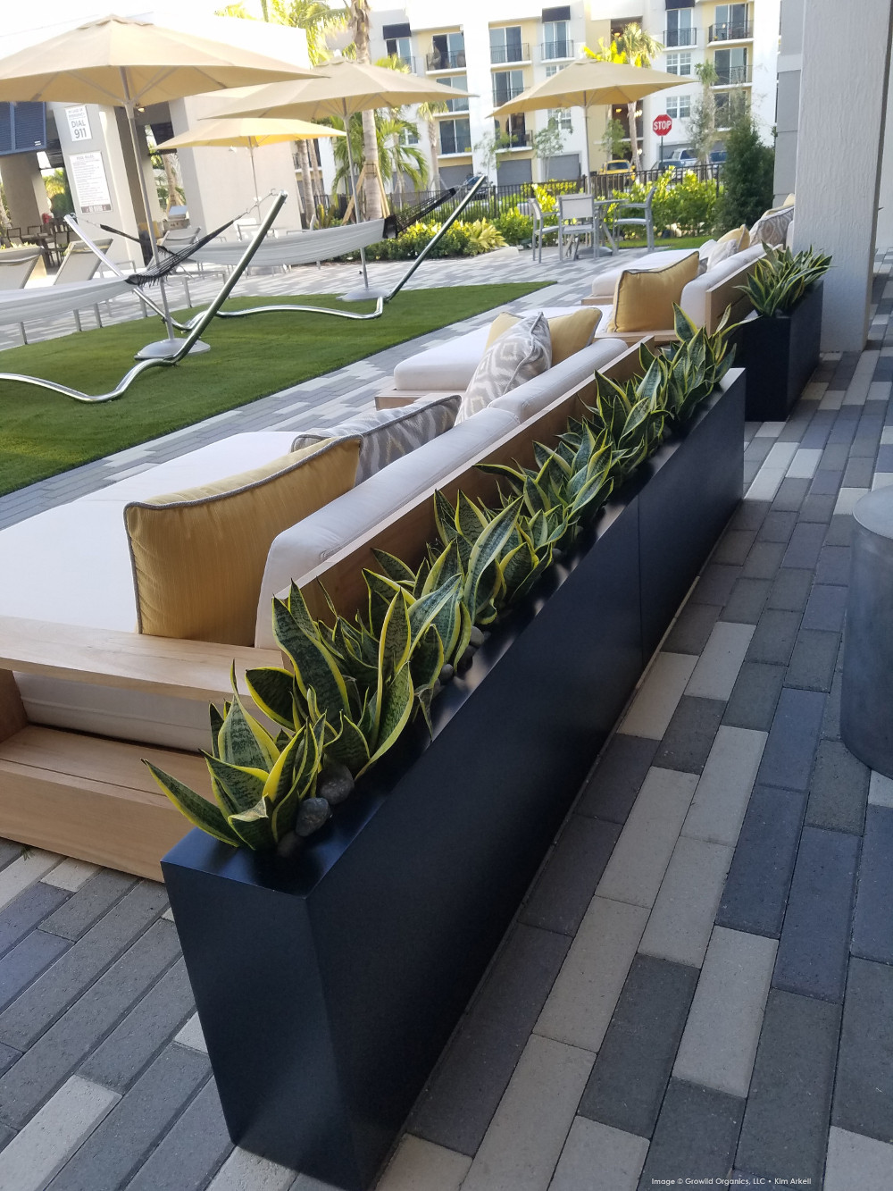 Camoux Narrow Rectangular Planters - Jay Scotts | Plant Addicts