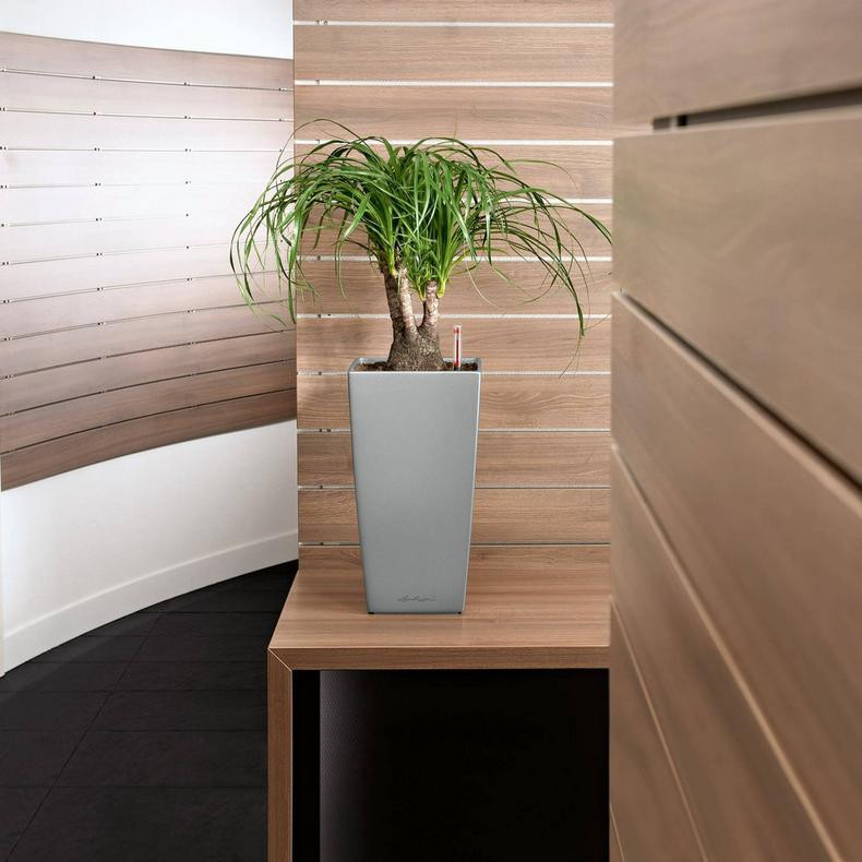 Cubico Tall Square Planter - Lechuza | Plant Addicts