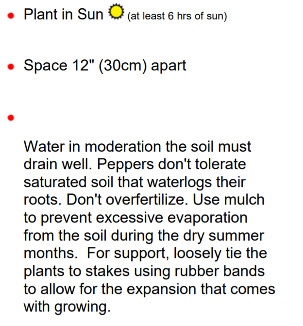 Better Belle II Pepper | Plant Addicts
