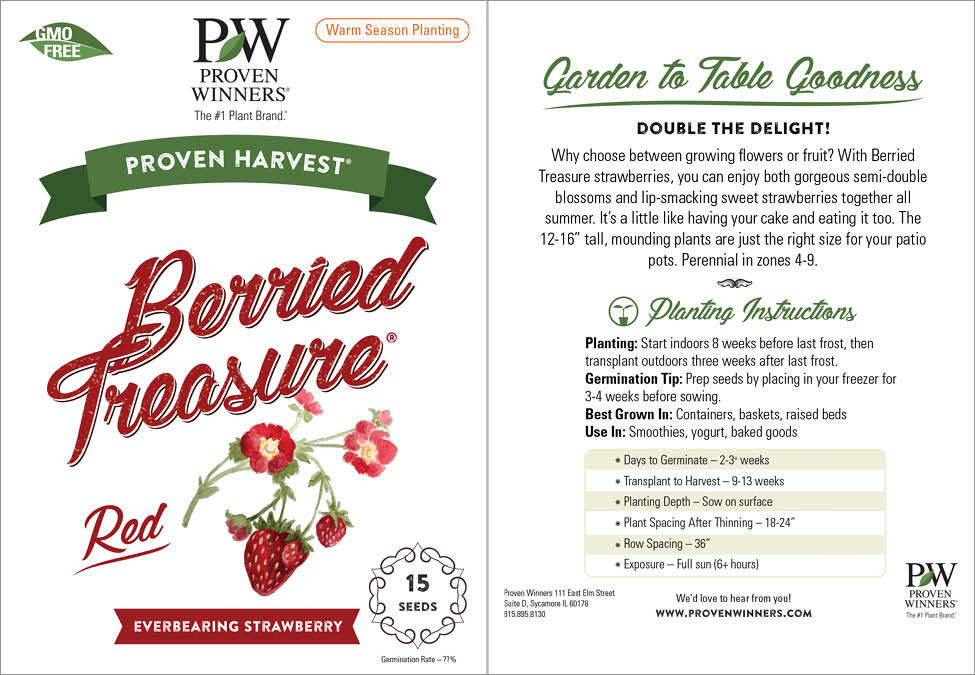 Berried Treasure Red Strawberry | Plant Addicts