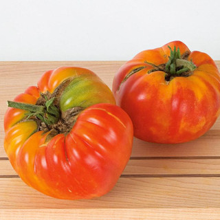 Homeslice Tomato Plant | Plant Addicts