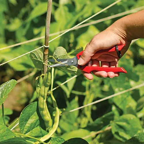 Small Hand Shears with 7in 1.875" Blade | Plant Addicts