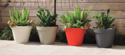Pierre Planter - Crescent Garden | Plant Addicts