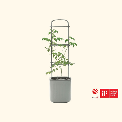 Self-Watering Rolling Tomato Planter Pot with Trellis | Plant Addicts