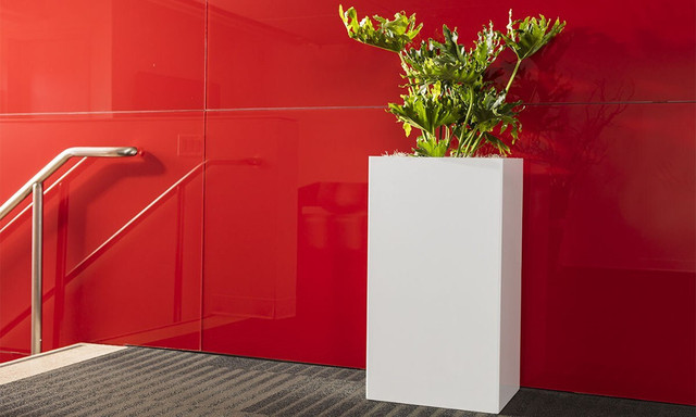 Amesbury Narrow Rectangular Planters - Jay Scotts | Plant Addicts