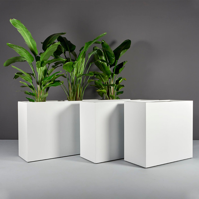 Amesbury Narrow Rectangular Planters - Jay Scotts | Plant Addicts