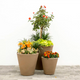 Dot Self-Watering Planter - Crescent Garden | Plant Addicts