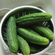 Patio Snacker Cucumber Plant | Plant Addicts