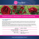 True Spirit Rose | Plant Addicts