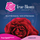 True Spirit Rose | Plant Addicts