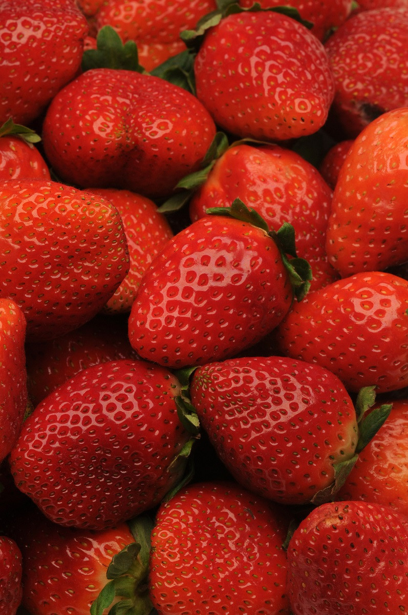 Allstar Strawberry | Plant Addicts