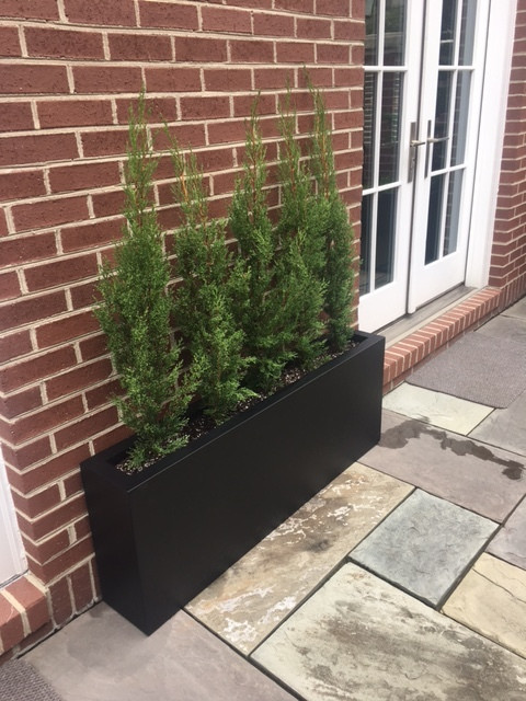 Camoux Narrow Rectangular Planters - Jay Scotts | Plant Addicts