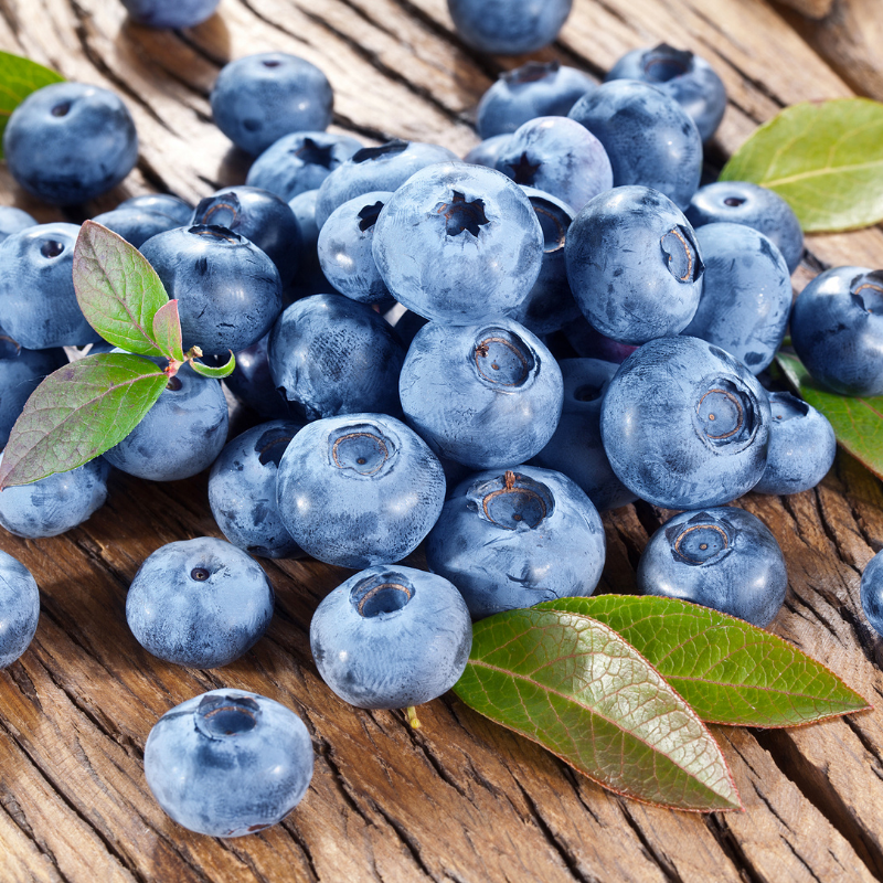 Bless Your Heart Blueberry | PlantAddicts.com