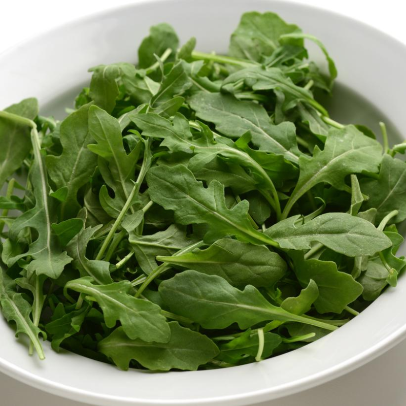 Arugula Plant | Plant Addicts