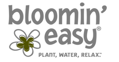 Bloomin Easy Plants For Sale Online | Plant Addicts