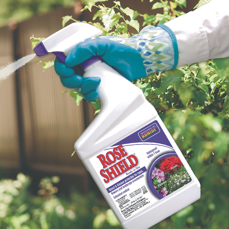 rose shield instructions