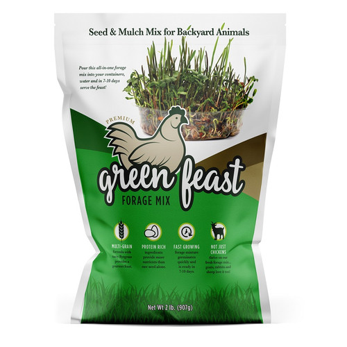 Amturf Green Feast Forage Mix For Backyard Animals | Plant Addicts