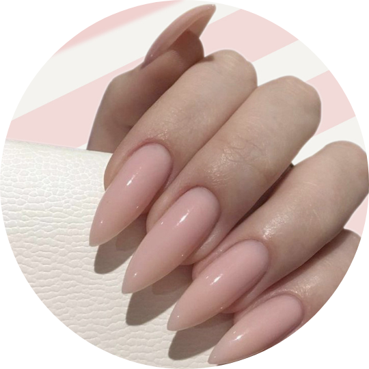 Masterclass Certificate in BIAB Builder in a Bottle - Profile Salon ...