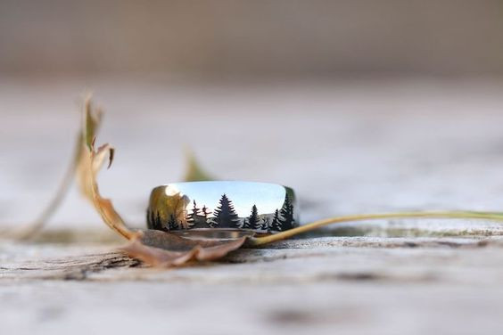 lebanese cedar tree ring