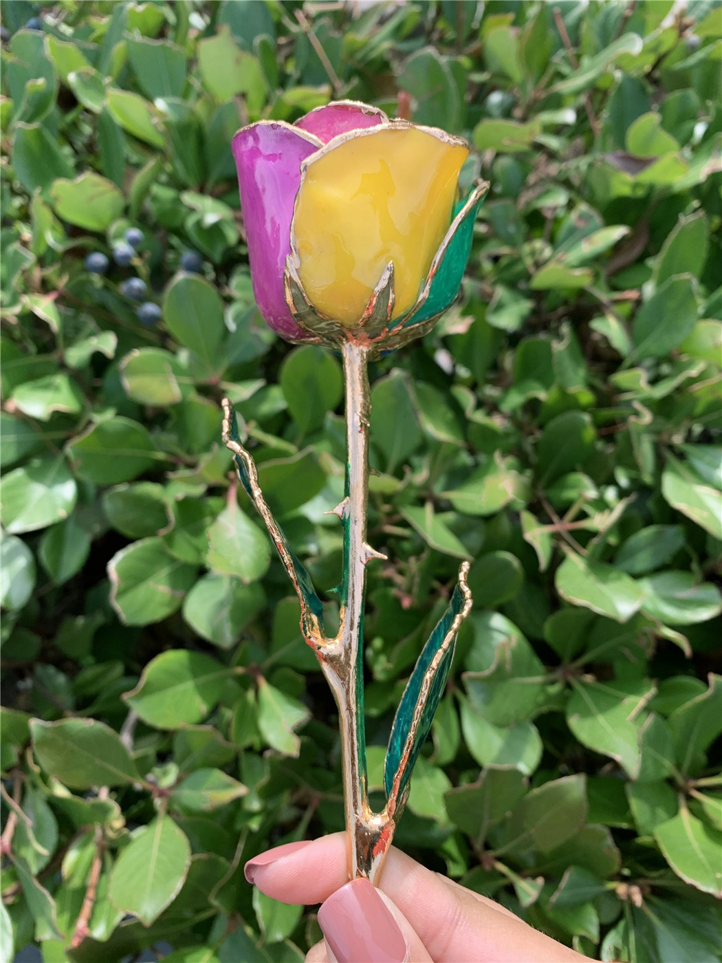 24k Yellow Gold Dipped Rainbow Rose