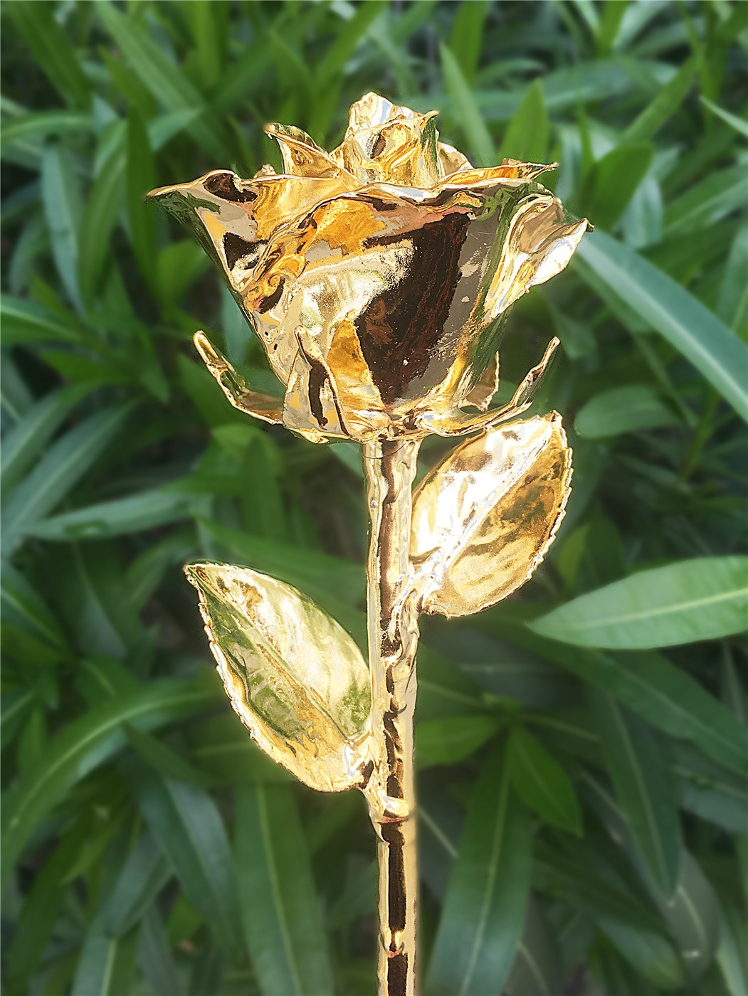 24K Gold Dipped Real Rose - She will treasure this Rose forever!