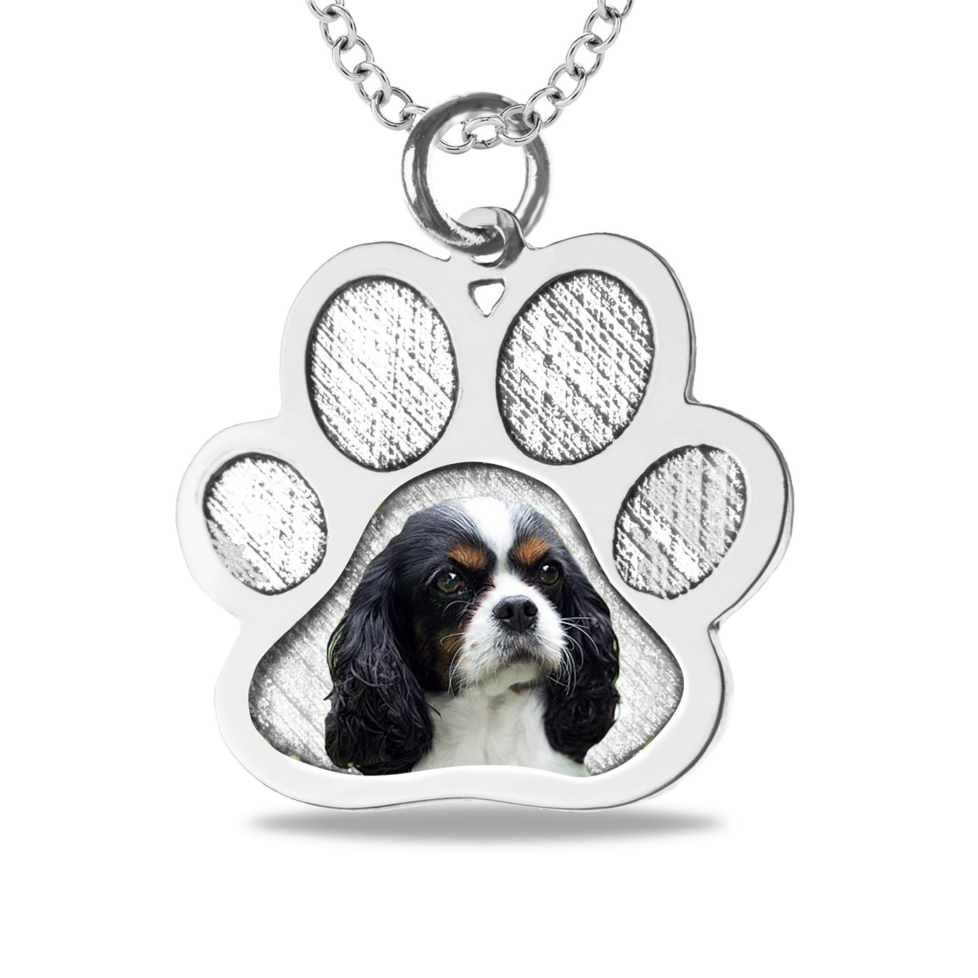 Dog Paw and Picture Pendant in Silver, or White, Yellow, Rose Gold