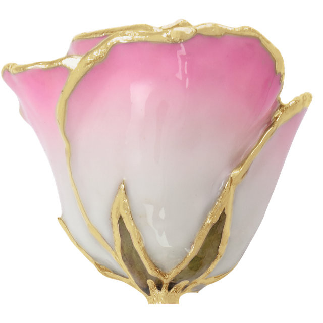 24K Gold Dipped Real Rose - She will treasure this Rose forever!