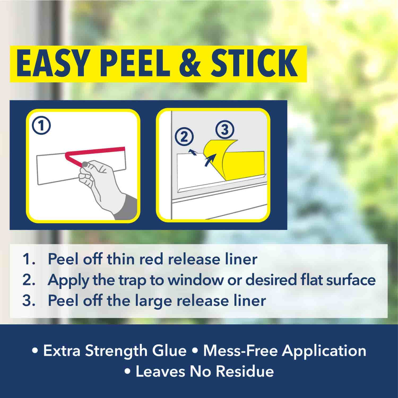 Window Fly Trap Clear (30-pack)