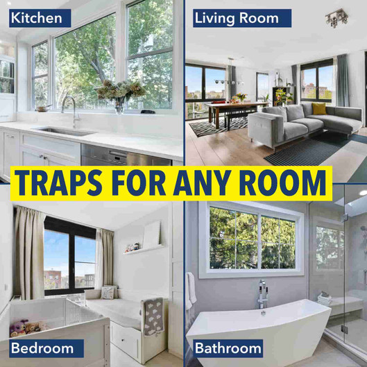 Window Fly Trap Clear (30-pack)